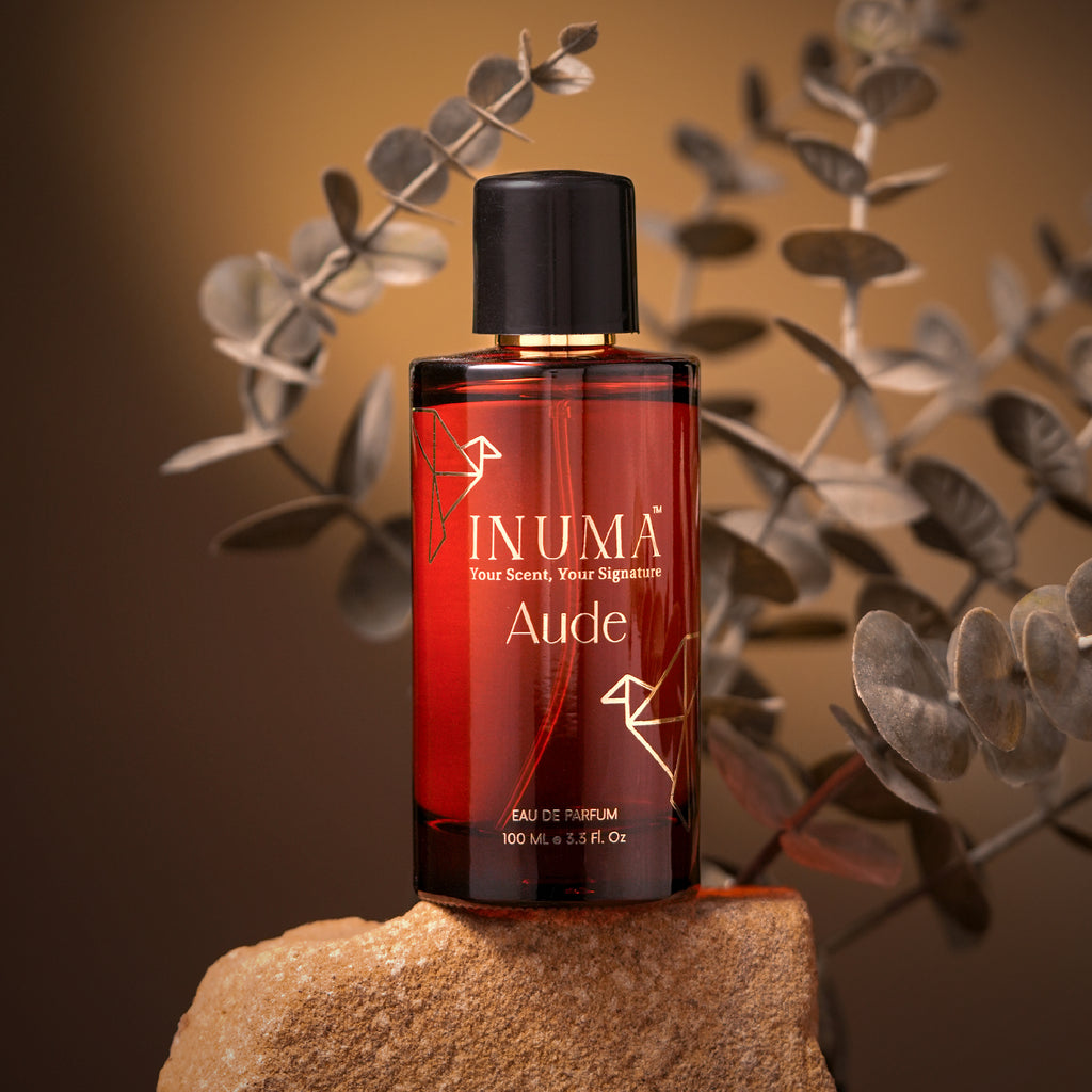 AUDE – Inuma